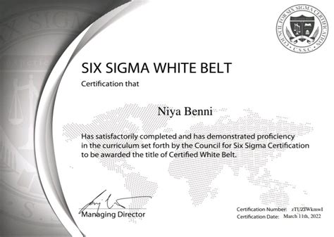 Niya Benni On Linkedin Successfully Obtained Cssc Certified Six Sigma White Belt Certification…