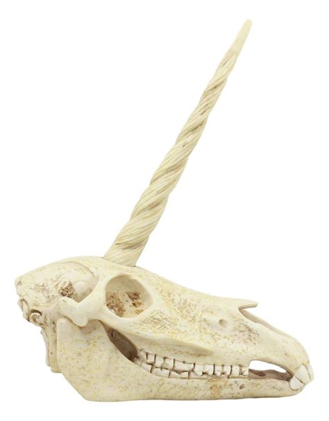 Real Products That Exist 33 Decorative Unicorn Skulls Narwal Skull