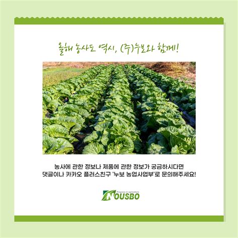 기술기반 농업전문기업 주 누보 신개념 배추 육묘 상토 주 누보 N 그로상토 비절현상없음 장기육묘 천연생리활성