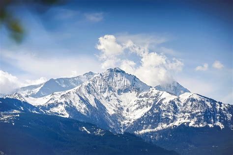 Dynamic Data Type Articles Ibi Community