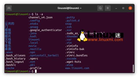 如何管理你的linux命令历史记录，揭开bash History的神秘面纱 Linux迷