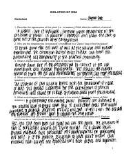 Isolation Of DNA Exploring The Appearance And Extraction Course Hero