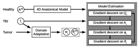Model Parameter Estimation Process The Healthy Template Provides The Download Scientific