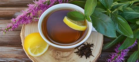 Наш блог — интернет-магазин свежеобжаренного кофе Torrefacto