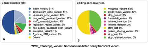 Variant Effect Predictor VEP Results Based On Genetic Variants Download Scientific Diagram