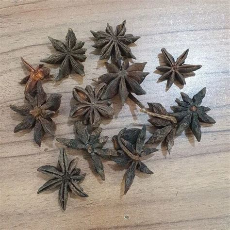 خرید و قیمت بادیان خطایی بادیان ستاره ای 500 گرم ارسال از قم ترب