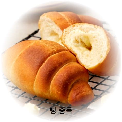 Elounlife Blog 이로운세상 블로그입니다