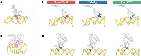 Protein Representation Learning With Sequence Information Embedding Does It Always Lead To A