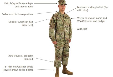 Army Acu Sew On Regulation