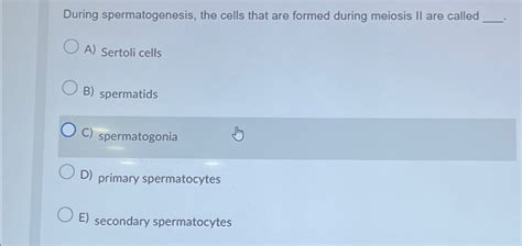 Solved During Spermatogenesis The Cells That Are Formed