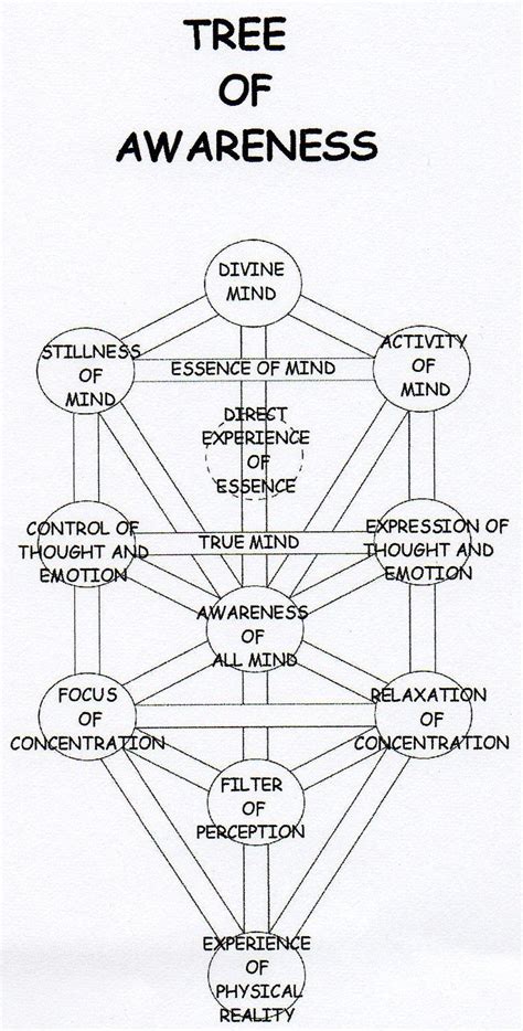 Enumerate And Explain The Different Branches Of Science Armani Has