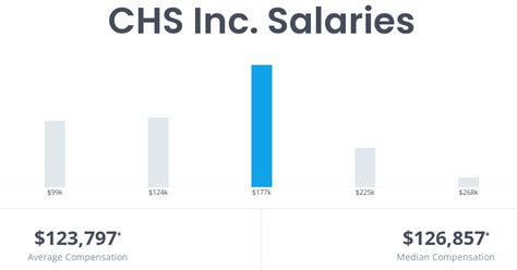 Chs Selection And Interview Process Questionsanswers