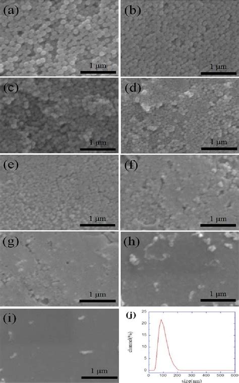 Sem Morphology Of Sio2 Powders Obtained With Various Ammonium Water