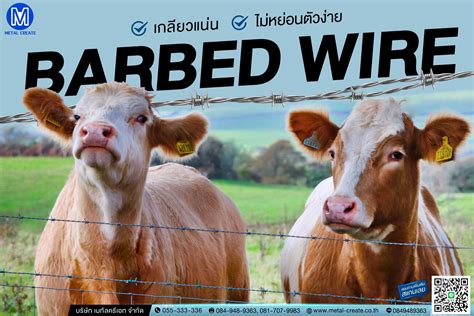 ลวดหนาม เกลียวแน่น บริษัท เมทัลครีเอท จำกัด