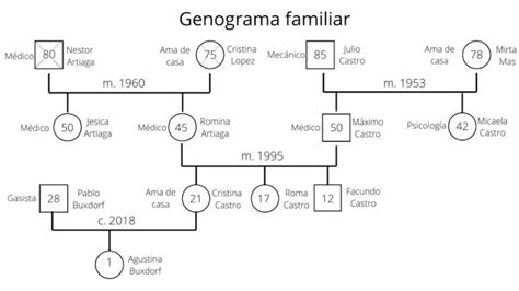 Familiograma Qué Es Características Función Y Ejemplos