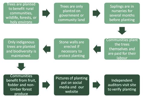 Grow Trees Notre Âme