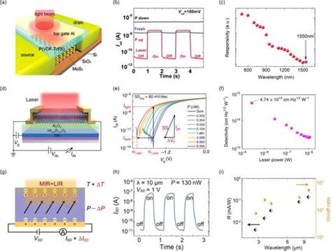 Ferroelectric Field Effect Transistors For Electronics And Optoelectronics Applied Physics