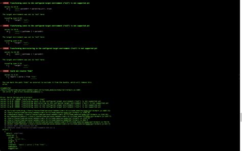 Custom Server Ts Errors And Not Using Local Packages When Running Blitz Dev Using Alpha
