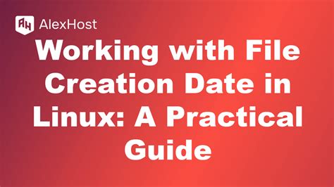 Working With File Creation Date In Linux A Practical Guide ALexHost SRL