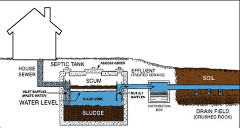 What Is A Leach Field Septic System Sharilryuri