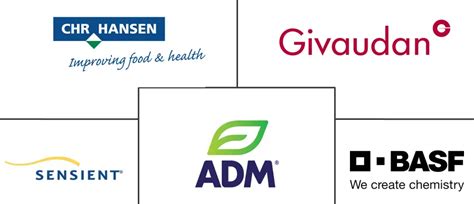 러시아 식품 착색제 시장 규모 및 점유율 분석 산업 연구 보고서 성장 동향