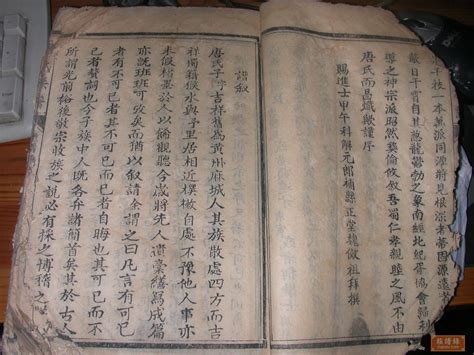 重庆市荣昌县黄连桥唐氏族谱 相册 唐氏族谱像册 族谱录