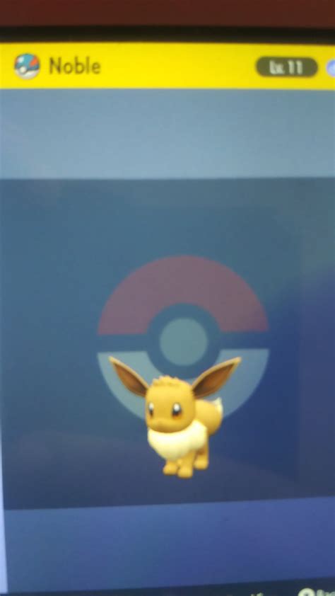 I Caught An Eevee And Named It Noble Im Letting You All Decided What I Evolve It Into And