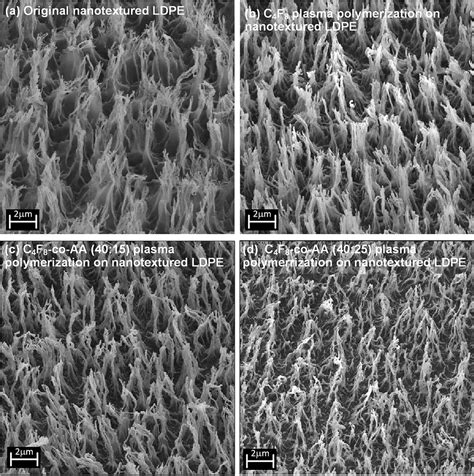 Scanning Electron Microscopic Sem Image Of Nanotextured Ldpe Surfaces Download Scientific