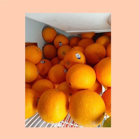 Jual Jeruk Sunkist Navel Usa Jeruk Navel Import Shopee Indonesia