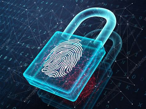 Fingerprint Authentication Technology Illustration Stock Image F022 9382 Science Photo