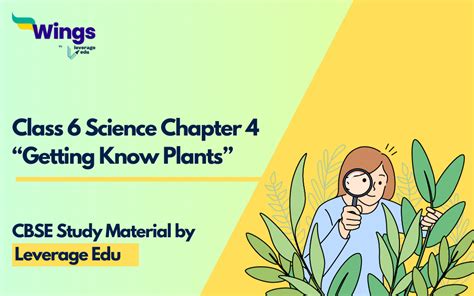NCERT Class Science Chapter Getting To Know Plants Notes And Solutions Free PDF