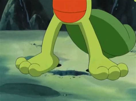 Pokemon Advanced E31 2003 Treecko Feet By Tcontreras32 On Deviantart