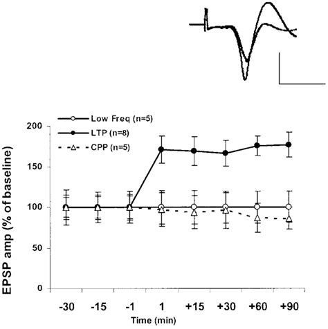Tbs Induces Ltp In The Mpfc This Ltp Is Blocked By The Nmda Receptor