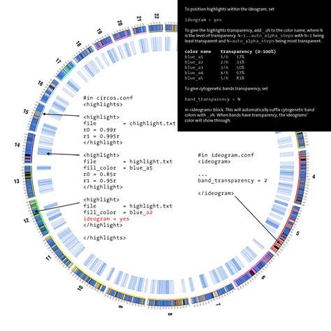 Circos Tutorials Highlights Ideogram Highlights Circos Circular