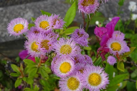 チートデイ 人生は旅