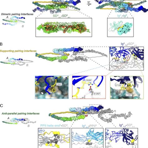 Kai Zhang Assistant Professor Ph D Yale University Ct Yu Department Of Molecular