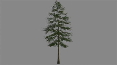 3d Model Lowpoly Tree Turbosquid 2020021