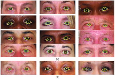 Eye Shape Segmentation Results On University Of Michigan Face Database