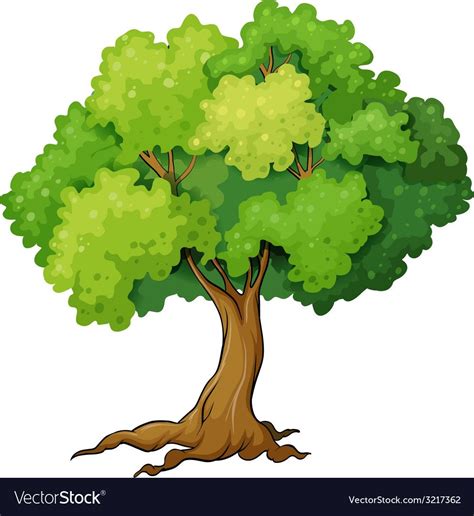 How To Draw An Oak Tree Really Easy Drawing Tutorial Artofit