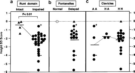 Figure 1 From Functional Analysis Of Runx2 Mutations In Japanese