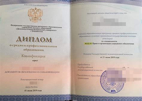 Код специальности по ОКСО в дипломе — где находится и как узнать