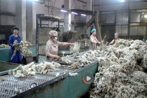 ХХААХҮ ийн яам тусгай зөвшөөрлийн материалыг 100 хувь цахимжуулж 14 хоногт олголт хийж байна