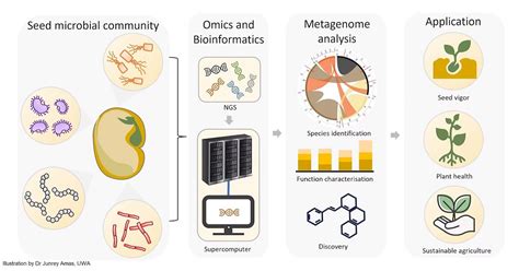 Seeds Special Issues
