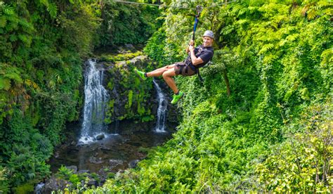 Guide To Kolekole Falls And Kolekole Gulch Park Hawaii Zipline