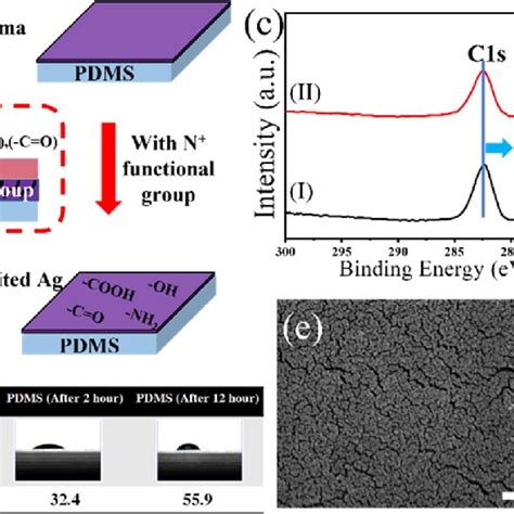 A Schematic Representation Of The Surface Modification Of The Download Scientific Diagram