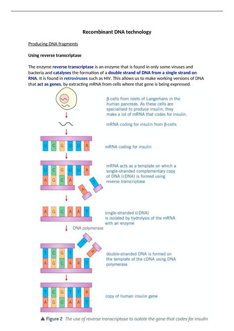 Summary Recombinant Dna Technology Aqa A Level Biology Detailed Revision Notes Topic 21 Unit 3
