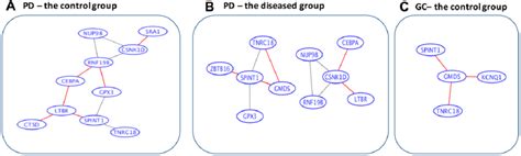 Data Driven Gene To Gene Interaction Networks Of The Overlapped 15 Download Scientific Diagram