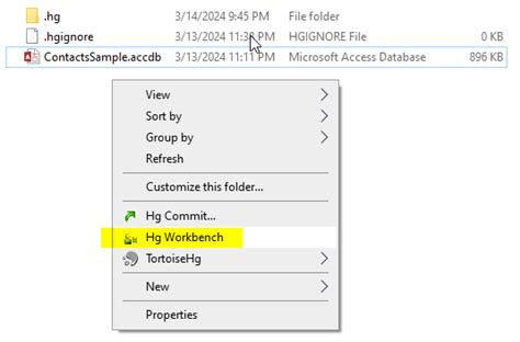 Access Version Control A Quick Start Guide