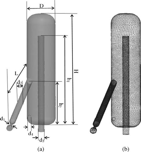 Schematic And Grid Representation Of The Injection And Separation Download Scientific Diagram
