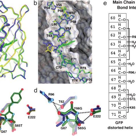 Architectural Distortions And Structural Comparisons Between Download Scientific Diagram